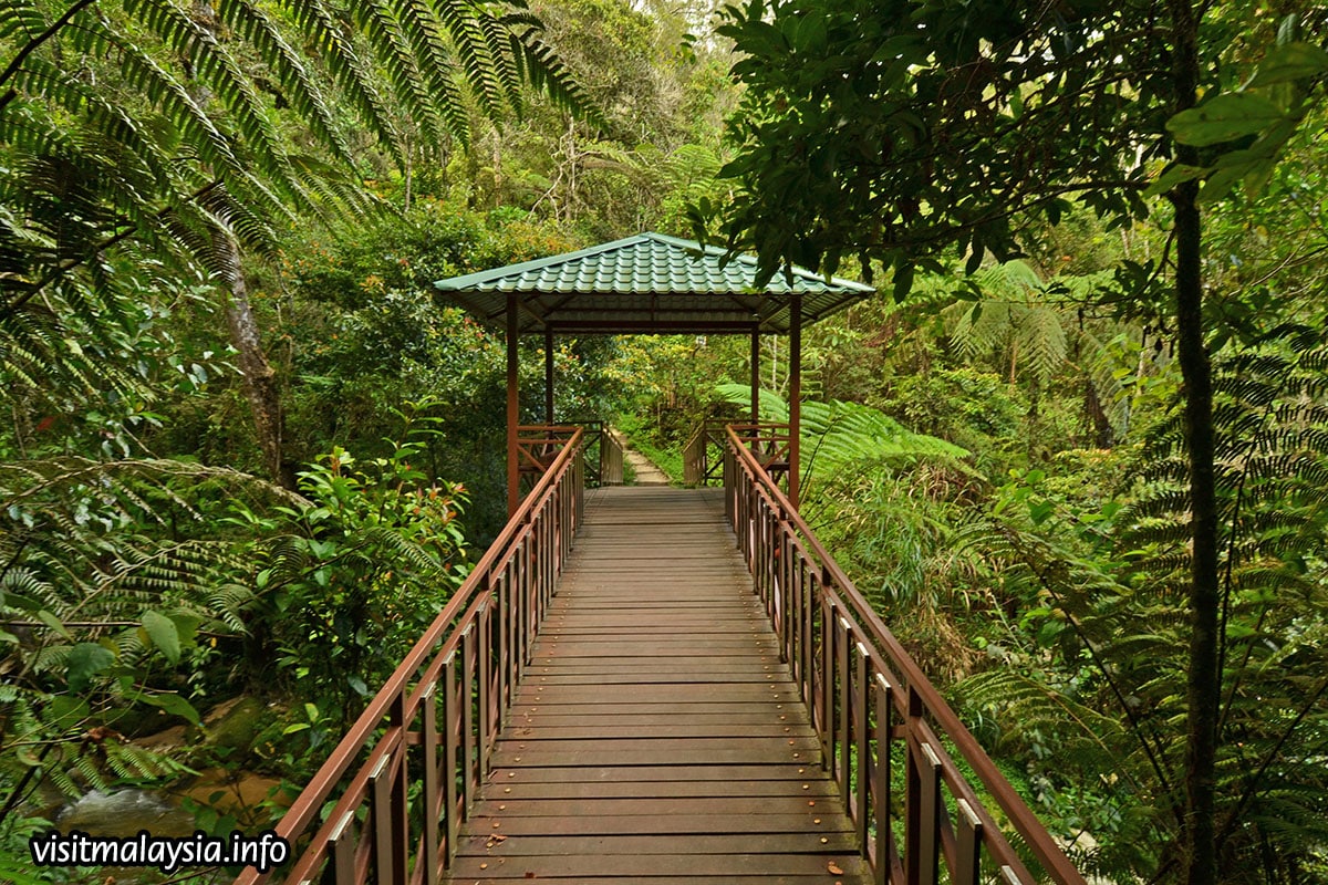 8 Tempat Menarik Di Cameron Highland - Jom Petik Strawberry - Cuti Viral