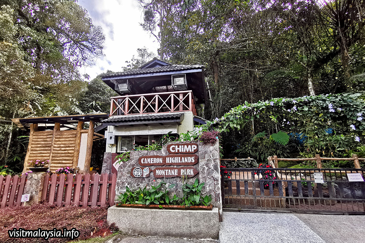 8 Tempat Menarik Di Cameron Highland - Jom Petik Strawberry - Cuti Viral