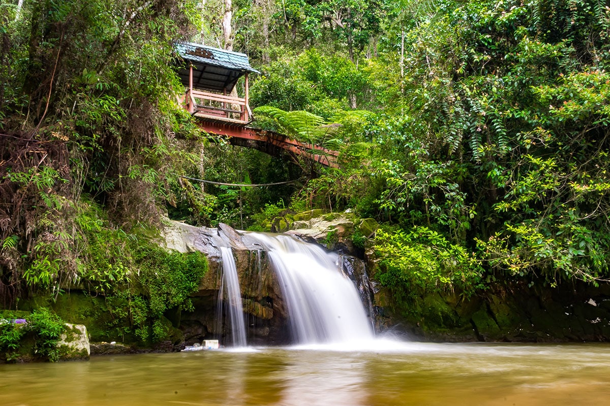 8 Tempat Menarik Di Cameron Highland - Jom Petik Strawberry - Cuti Viral